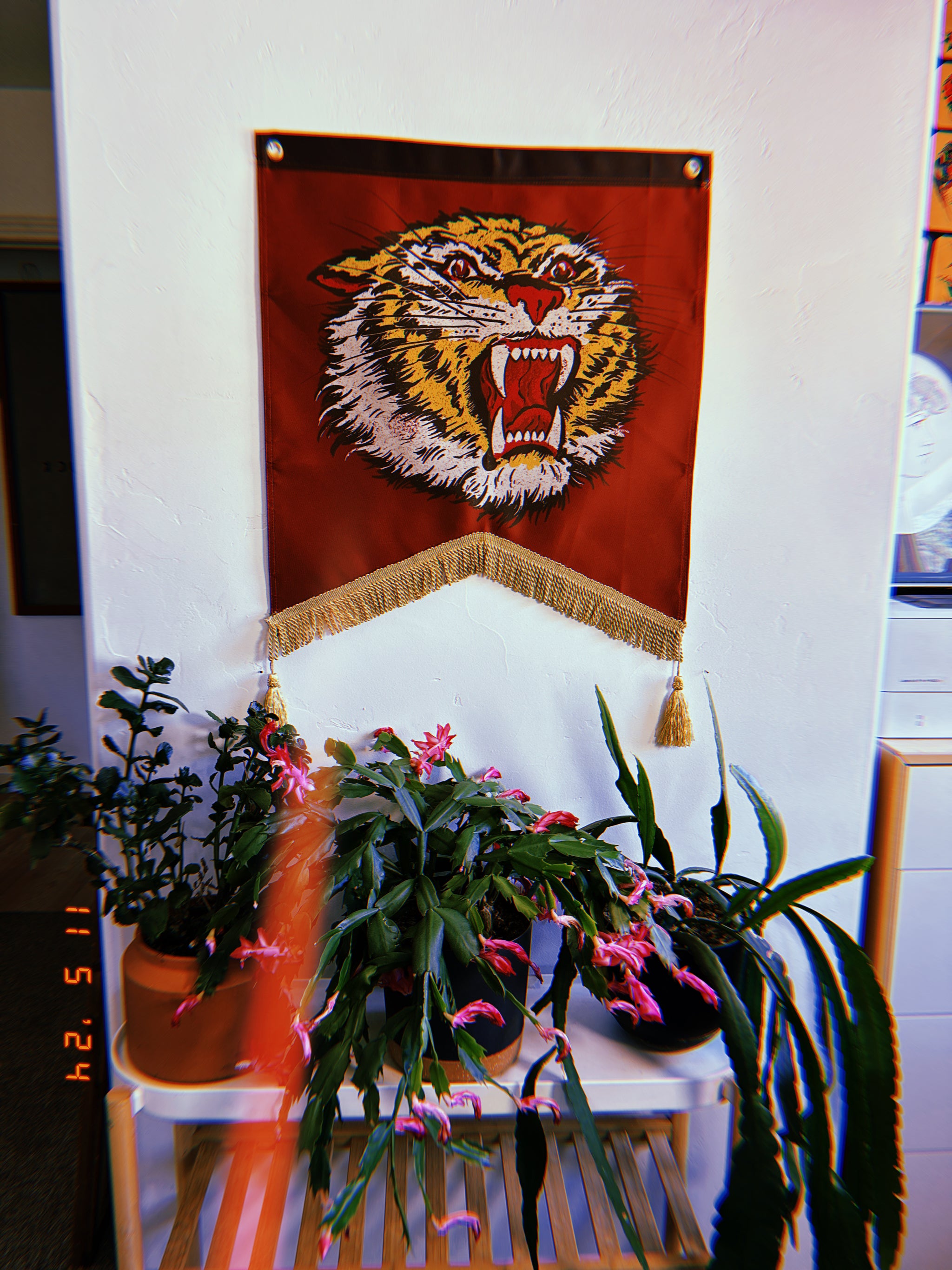 Tiger Head Banner – Yellow Beak Press