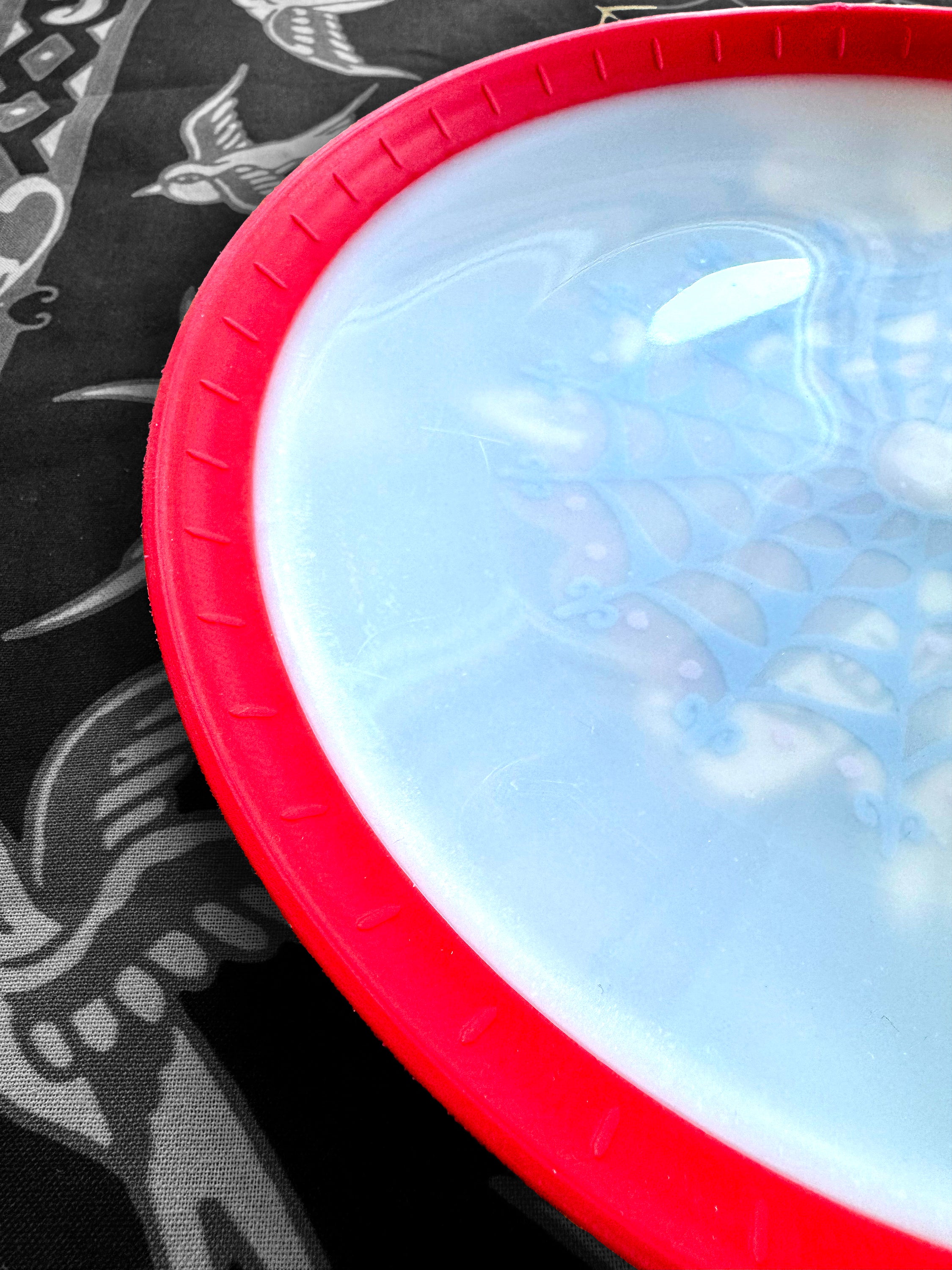 Spider Web Frisbee – Yellow Beak Press